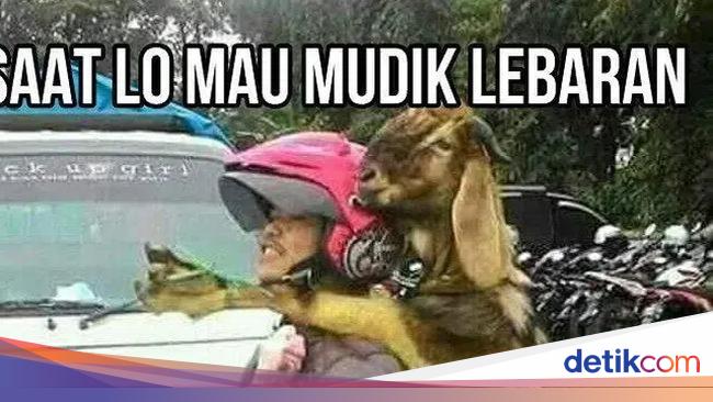 8 Meme Mudik Lebaran 2024 yang Bikin Ngakak, Jadi Penghibur di Jalan