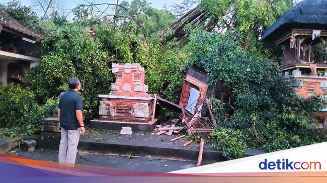 Pohon Beringin Timpa Pelinggih Pura di Denpasar, Kerugian Capai Rp 500 Juta