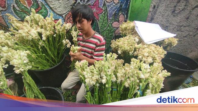 Cek Harga Kembang, Sejarah, Lokasi, dan Cara Menuju Pasar Bunga Rawa Belong