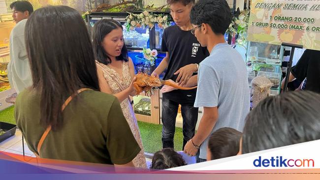Serunya Swafoto Bareng Reptil-Mamalia Saat Libur Lebaran di Mal Bengkulu