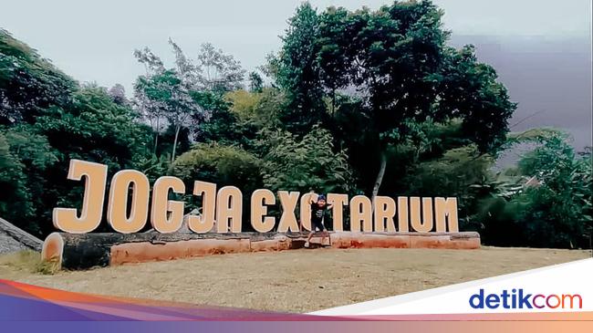 Mini Zoo Jogja Exotarium, Wisata Edukasi untuk Liburan Sambil Belajar