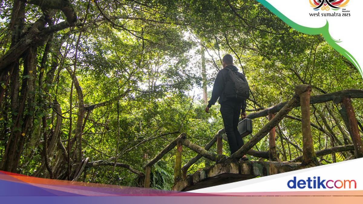 3 Rekomendasi Wisata di Pasaman, Wajib Dikunjungi!