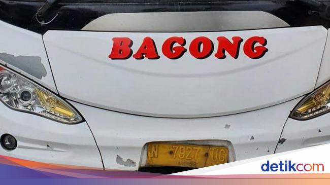 Lawan Arah dan Marah-marah, Aksi Viral Sopir Bus Bagong Berakhir Ditilang dan Diskors