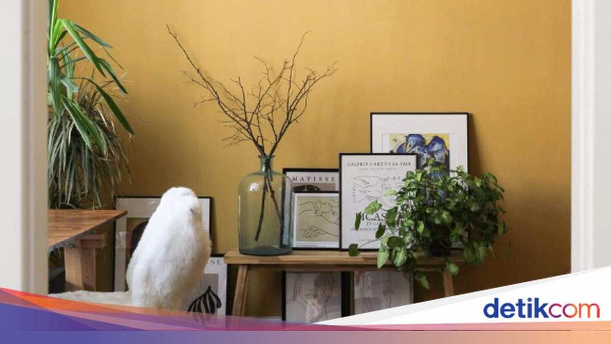 6 Pilihan Warna Cat Dinding yang Bikin Ruangan Sempit Lebih Estetik