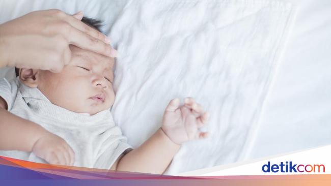 Ciri-ciri DBD pada Anak dan Bayi, Jangan Disepelekan!