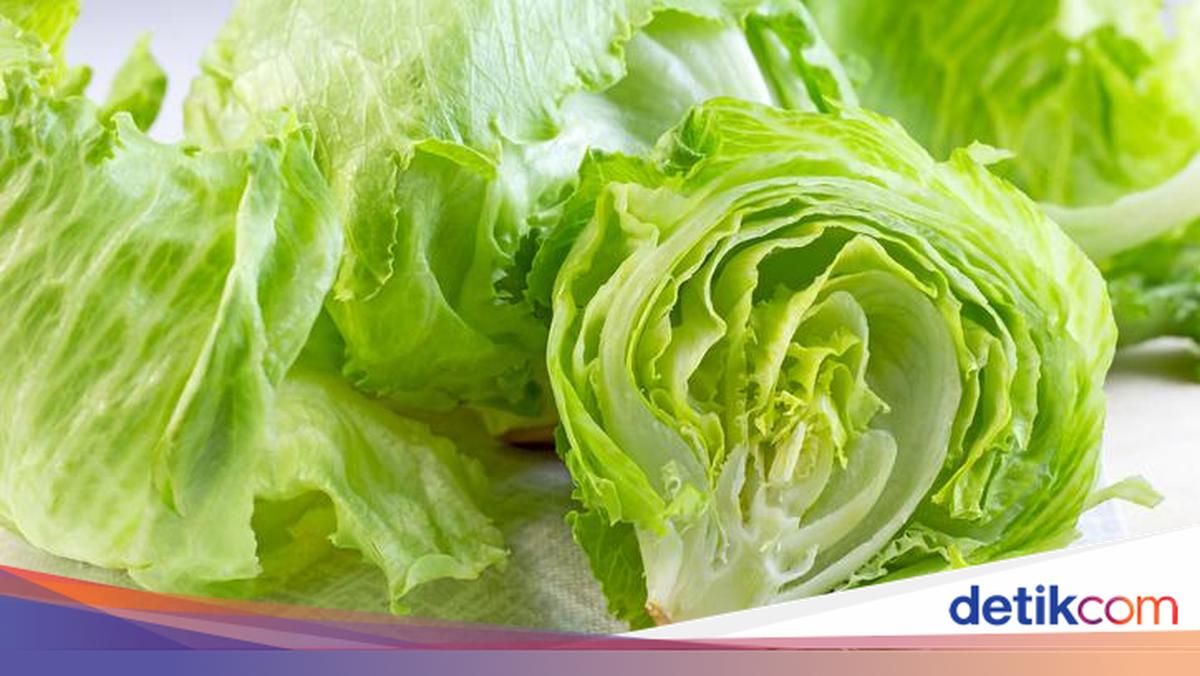 Ini Cara Simpan Lettuce Agar Tetap Segar dan Renyah