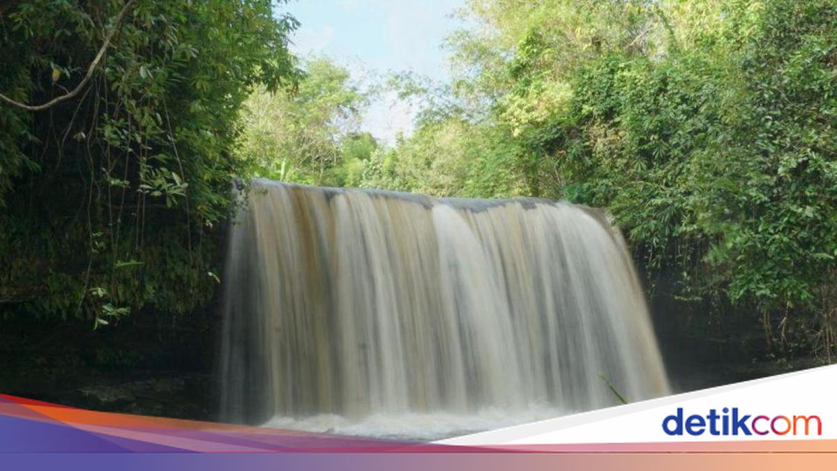 6 Contoh Sumber Daya Alam yang Dapat Diperbaharui
