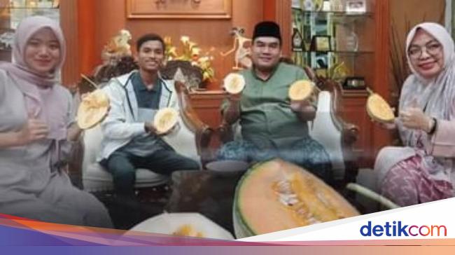 Lima Tahun Kerja di Korea, Adi Latif Mashudi Kini Jadi Juragan Melon di ...