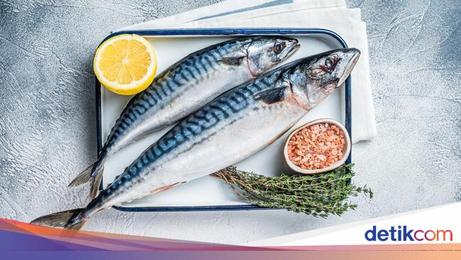 6 Jenis Ikan Kaya Protein dan Rendah Lemah, Cocok untuk Diet