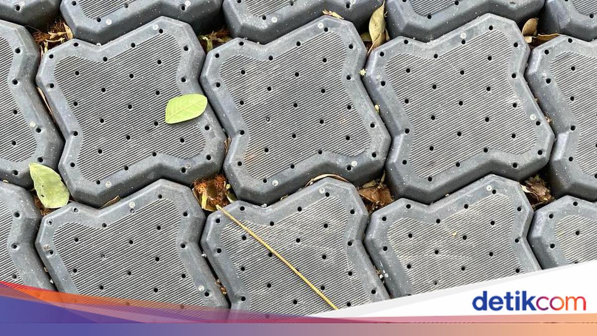 Cara Ampuh Bersihkan Lumut dan Rumput yang Tumbuh di Sela Paving Block