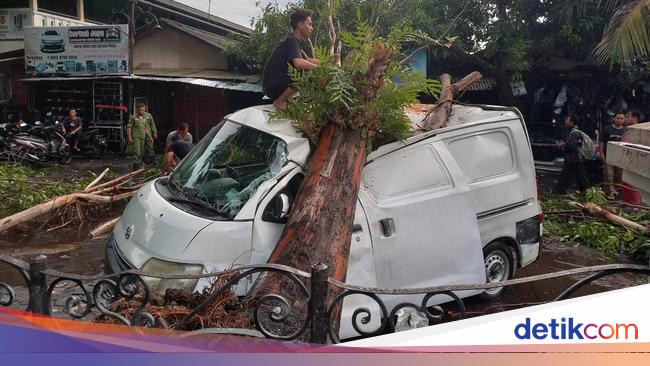 Mobil Tertimpa Pohon Tumbang di Solo, Pemilik Niatnya Ganti Spion Malah Ringsek