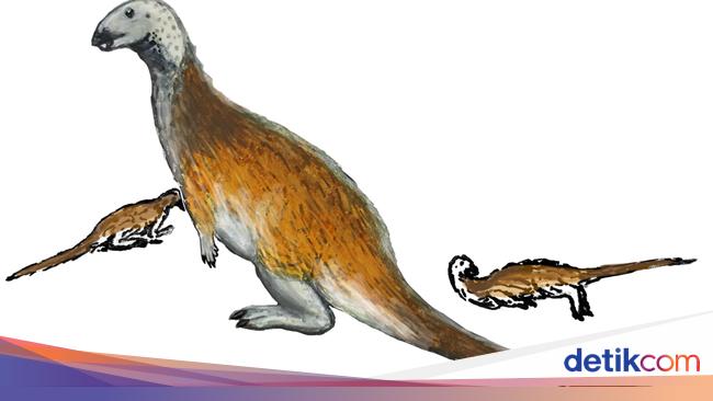 Ilmuwan Temukan Fosil Dinosaurus yang Jago Lari Ilmuwan Temukan Fosil Dinosaurus yang Jago Lari