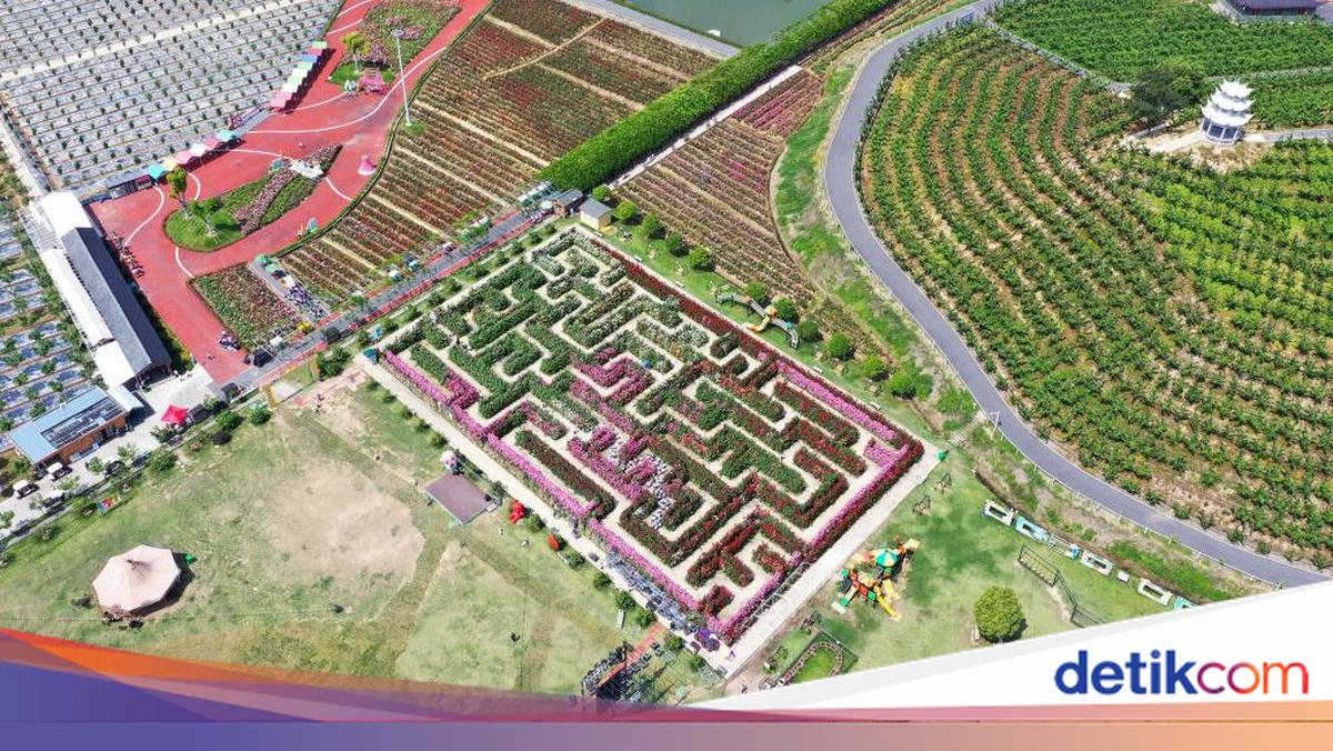 Menjelajahi Taman Bunga Labirin di Dongyang China