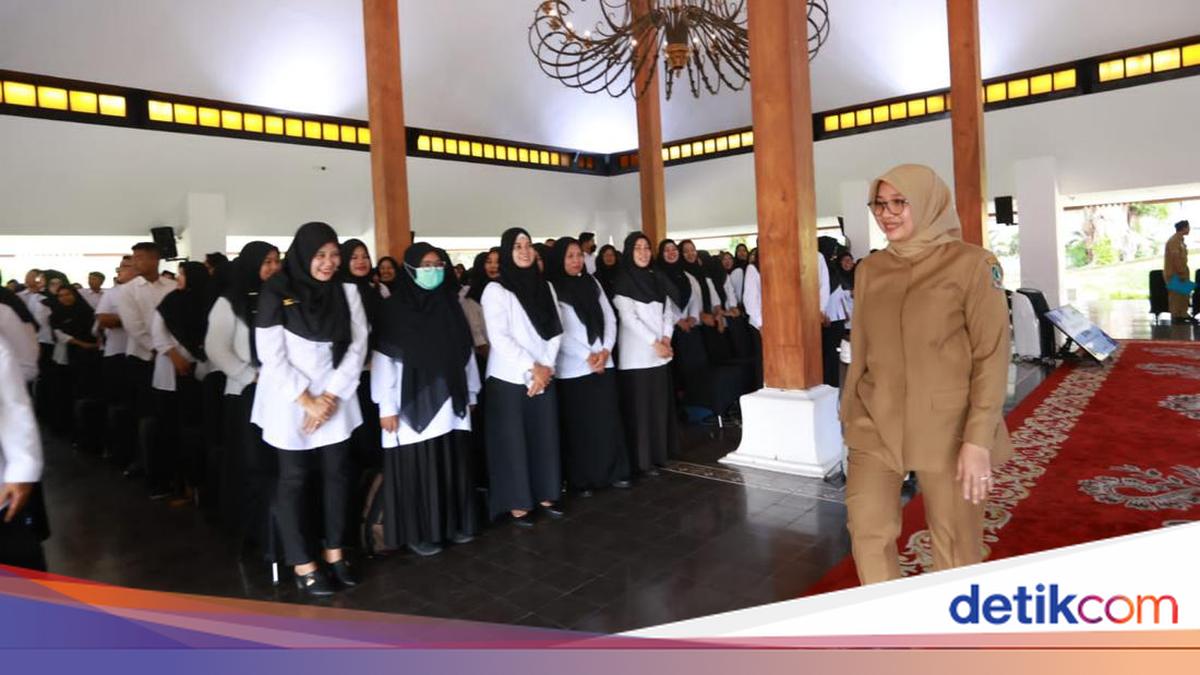 Bagaimana Nasib Honorer Jika Tak Lulus PPPK 2024? Begini Penjelasan MenPANRB