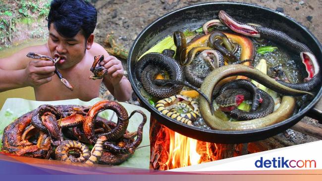 Daging Tikus hingga Katak, Santapan Ekstrem untuk Bertahan Hidup