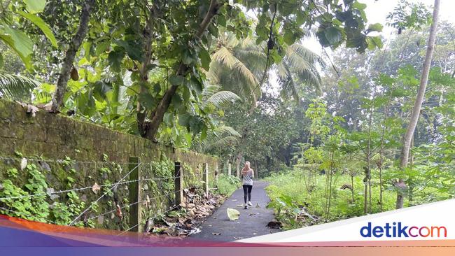 Lab Alam Ini Bisa Jadi Alternatif Lokasi Jogging di Jogja