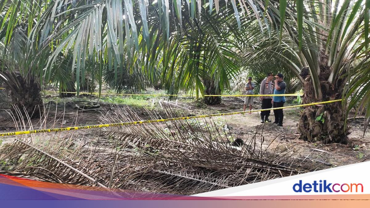 Ditemukan Tinggal Kerangka, Pemas Sering Tak Pulang-Sempat Dicari di Medsos