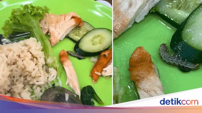 Beli Nasi Ayam di Kopitiam, Pengunjung Ini Dapat 'Bonus' Ulat!