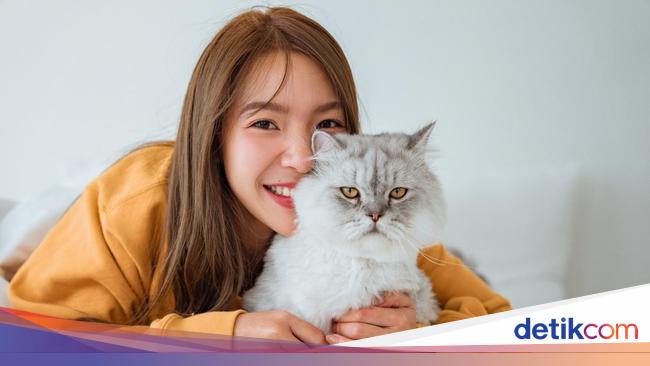 Sejak Kapan Kucing Hidup Berdampingan dengan Manusia? Berikut Sejarahnya