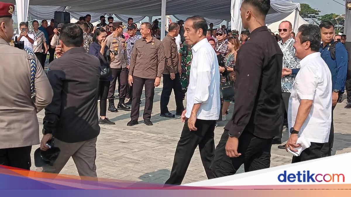Telan Biaya Rp 76 Miliar, Jokowi Resmikan Tambak Ikan Nila Salin di ...