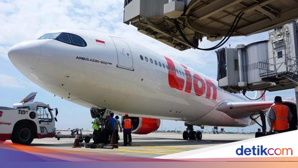 Ikuti Pemerintah, Mulai 19 Desember 2024 Lion Group Turunkan Harga Tiket!