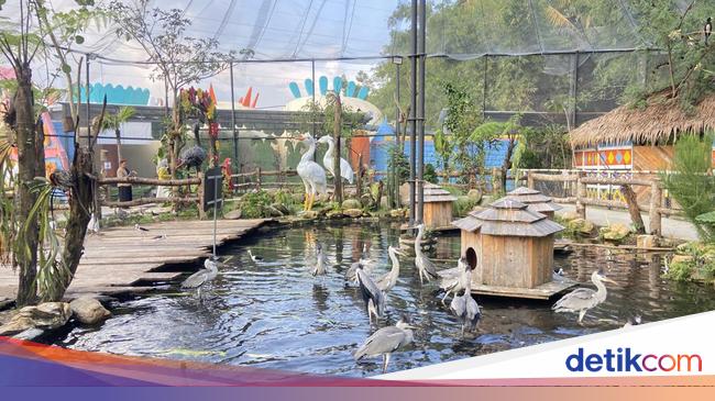 Baru! Jogja Hadirkan Taman Aviary Seru Lewat Ibarbo Park