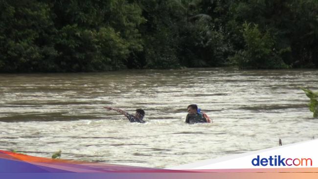 Cerita Petani Terseret Arus Berhasil Selamat Usai Bertahan di Pelepah Sawit