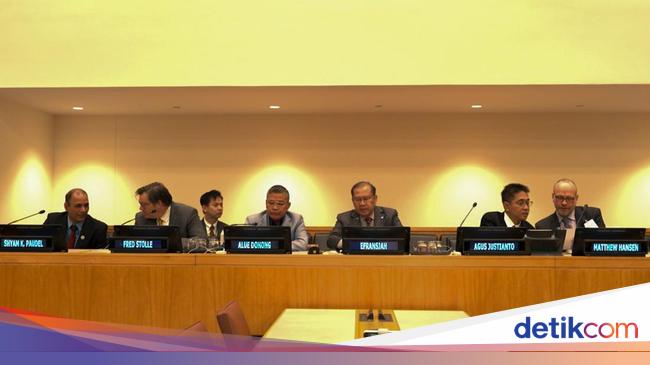 RI Hadirkan Forum Khusus di UNFF, Soroti Sistem Monitoring Hutan