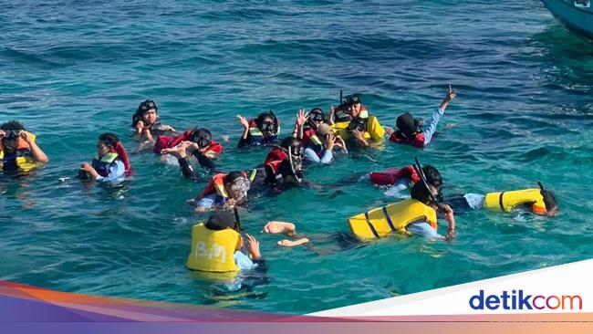 Snorkeling di Gili Trawangan, Ini Biaya hingga Rute Snorkeling