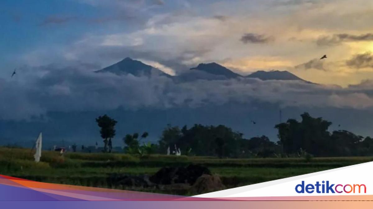 Pendakian Gunung Arjuno Kembali Dibuka, Simak Jam Buka-Harga Tiket Masuk