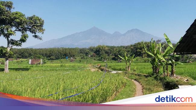 Jalur Pendakian Dibuka, Ini Aturan-Tips Mendaki Gunung Arjuno-Welirang