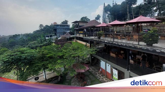 Kafe Modern nan Klasik di Sentul, Ada Mini Zoo Juga Lho di Sini
