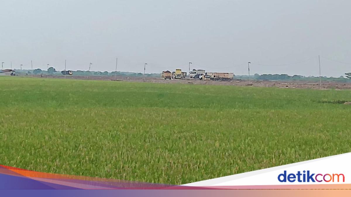 Warga Tuding PIK 2 Bebaskan Lahan PSN dengan Harga Murah, Segini Nilainya