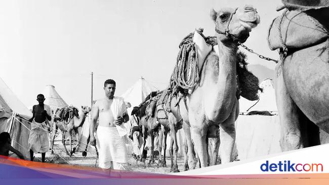 Menelusuri 7 Rute Haji Kuno, saat Kufah dan Bahrain Jadi Jalur Penting
