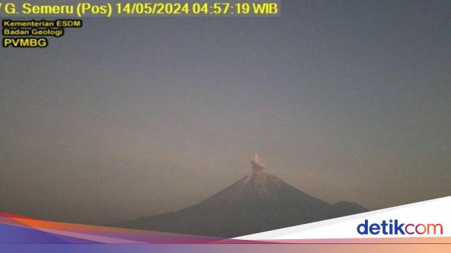 Gunung Semeru Erupsi Pagi Ini, Letusan Abu Capai 600 Meter dari Puncak