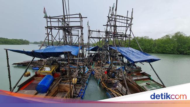 Perusak Mangrove di Belitung Koordinator Tambang Ilegal, Jaringan Diburu KLHK