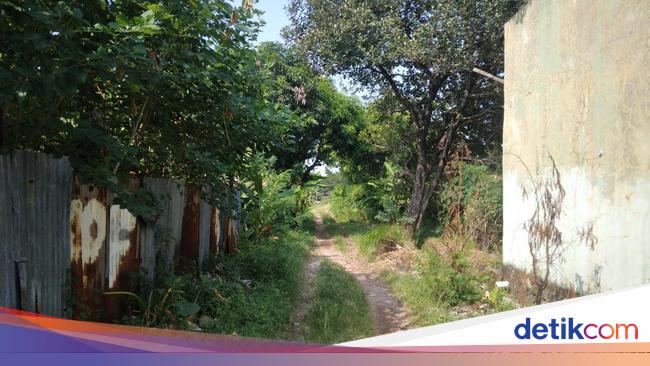 Polisi Ungkap Fakta Baru soal Kasus Pembunuhan VIna Cirebon