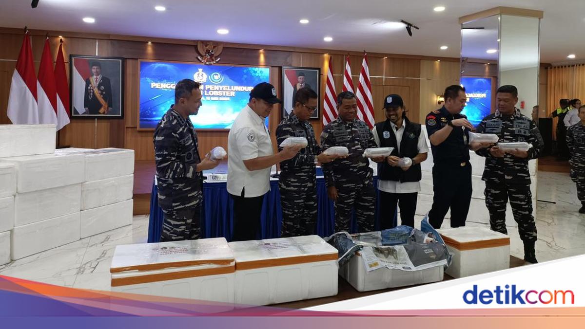 Diapresiasi KKP, Ini Kronologi TNI AL Gagalkan Penyelundupan 52 Boks BBL