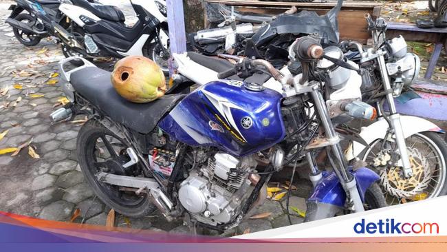 Kronologi Pemotor Tewas Tabrak Pohon Usai Tertimpa Buah Kelapa di Selayar
