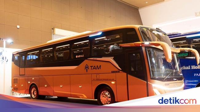 PO TAM Rilis 10 Bus Baru: Pakai Sasis Mercedes-Benz, Bodi Adiputro