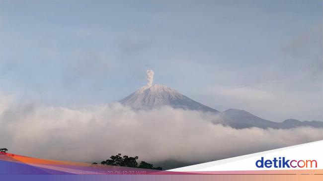 Gunung Semeru Erupsi Pagi Ini Dua Kali, Ketinggian Letusan 800 Meter
