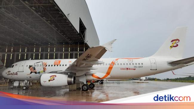 Corak pada Pesawat Adalah Seni dan Tanda Pengenal