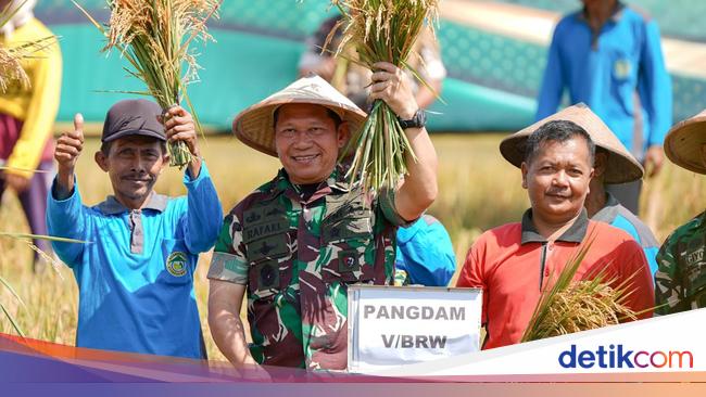 Pangdam V Brawijaya Target Panen Padi 3 Kali dalam Setahun