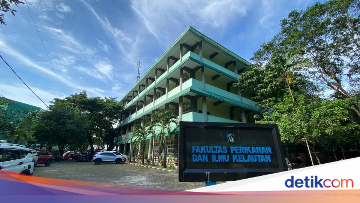 Fakultas Perikanan dan Ilmu Kelautan UMI: Profil hingga Peluang Kerjanya