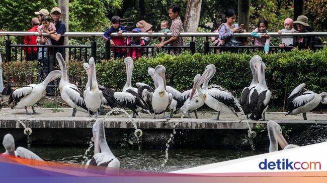 10 Destinasi Liburan untuk Cuti Bersama Idul Adha 2024 di Sekitar Jakarta