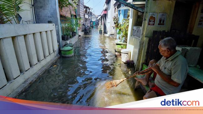 BMKG Umumkan Wilayah-wilayah Waspada Banjir Rob dalam Waktu Dekat
