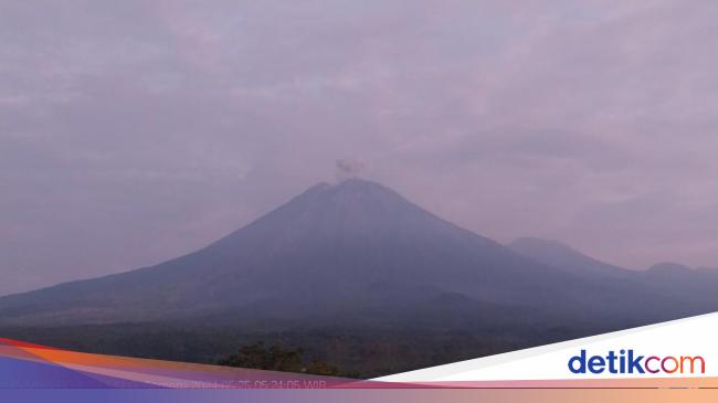 Gunung Semeru Erupsi Semburkan Abu Vulkanik Setinggi 700 Meter
