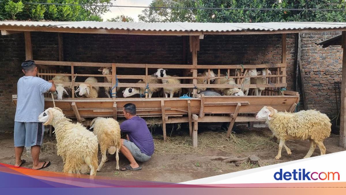 Bacaan Niat Kurban Lengkap dengan Doa: Arab, Latin, dan Terjemah