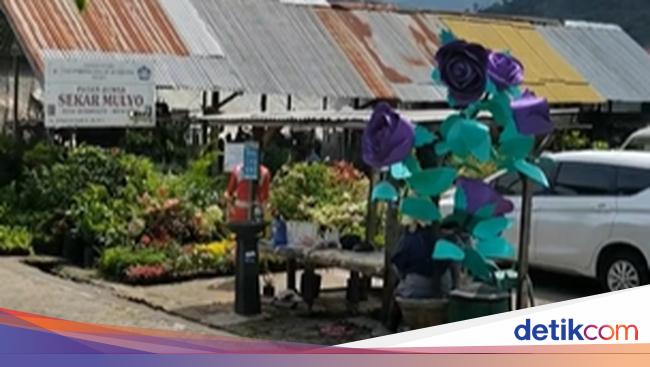 Pasar Bunga Sekar Mulyo Batu, Rekomendasi Pusat Tanaman Hias Terbaik