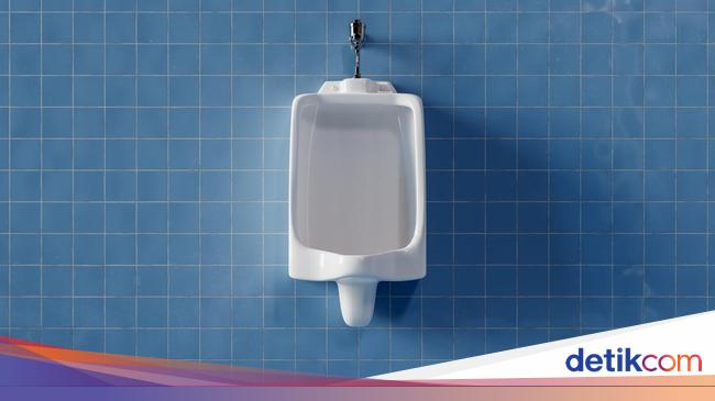 Pernah Lihat Lalat Di Urinoir Toilet Pria Ternyata Bikin Toilet Bersih